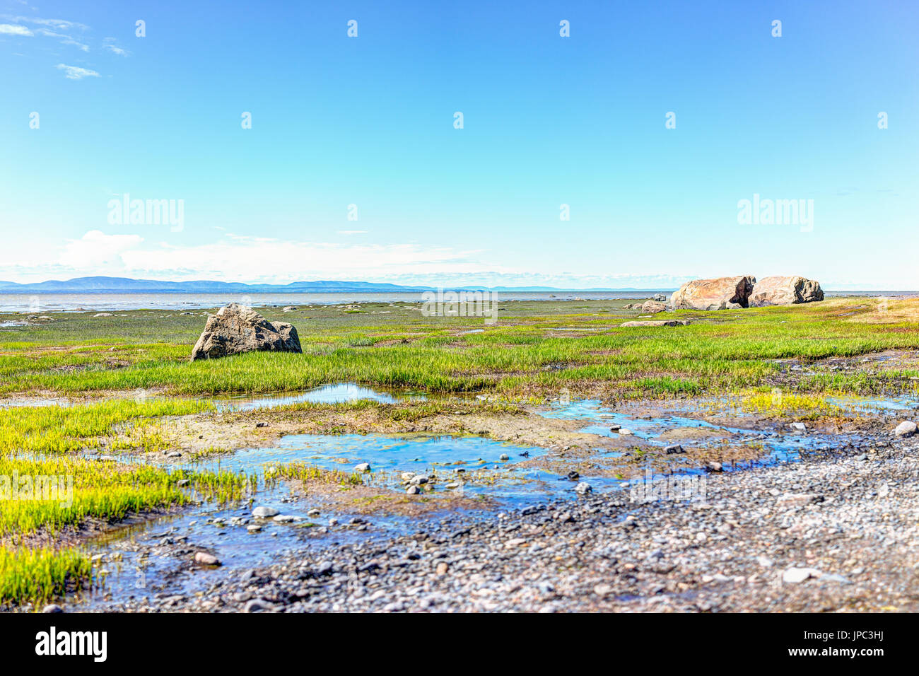 Closeup of Saint Lawrence river beach in Quebec, Canada with grass ...