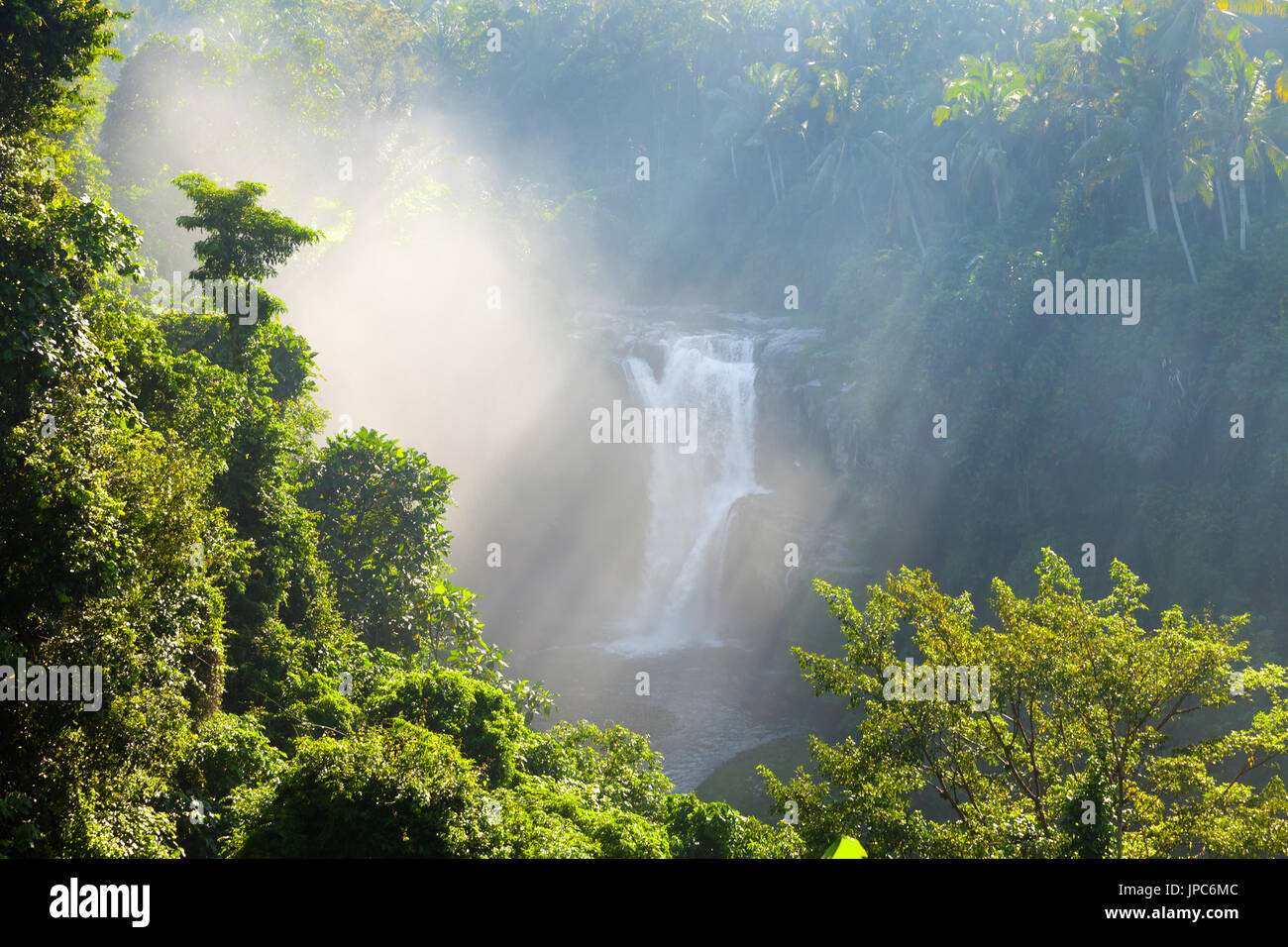 Amazon rainforest landscape waterfall hi-res stock photography and ...