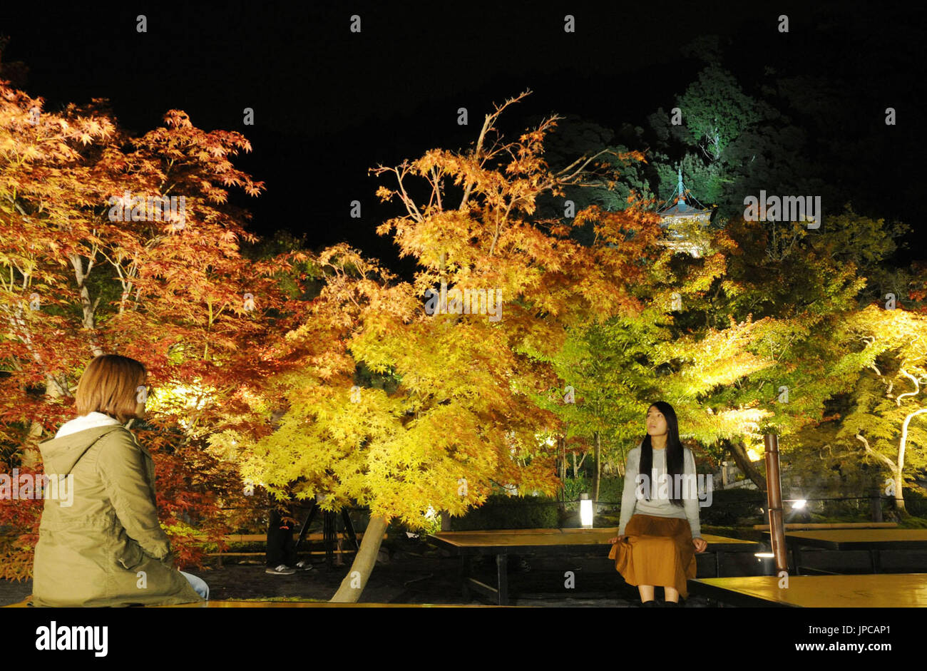 Maple trees are lit up on Nov. 4, 2016, at Zenrinji, a temple in Japan ...