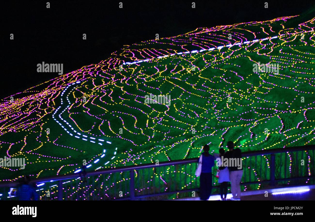 Small terraced rice paddies called Shiroyone Senmaida on steep slopes ...