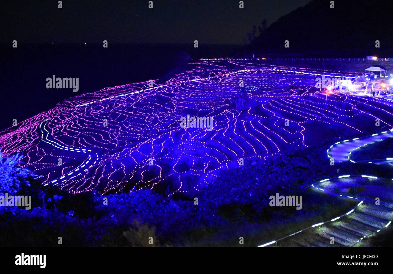 Small terraced rice paddies called Shiroyone Senmaida on steep slopes ...