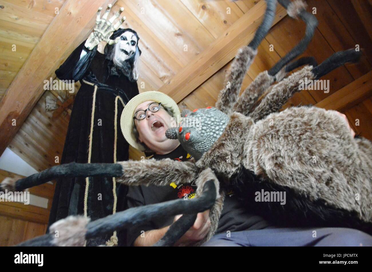 Stuart Galbraith, an American researcher on Japanese movie history ...