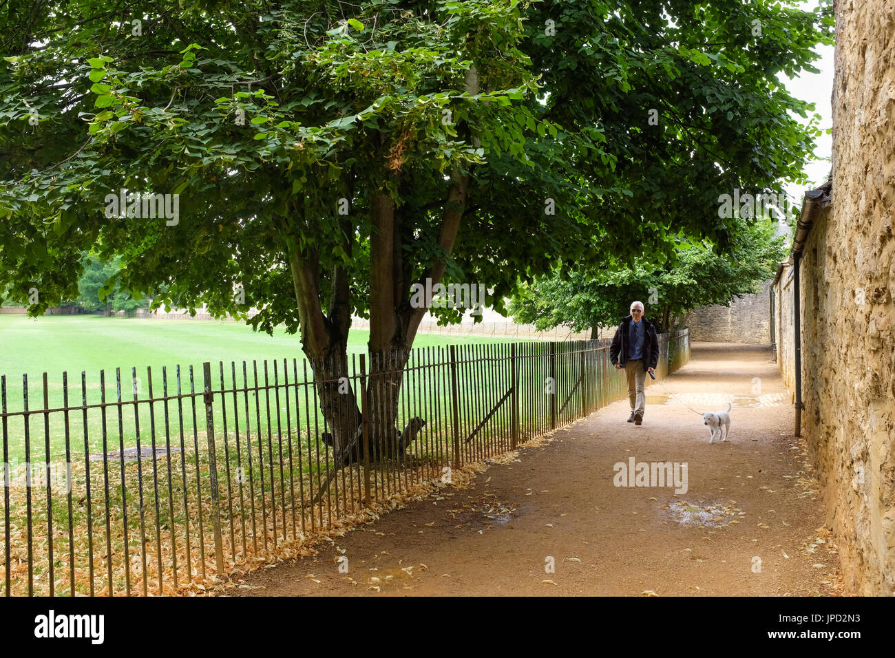 A man walking his dog around the perimter of Merton Field in the ...