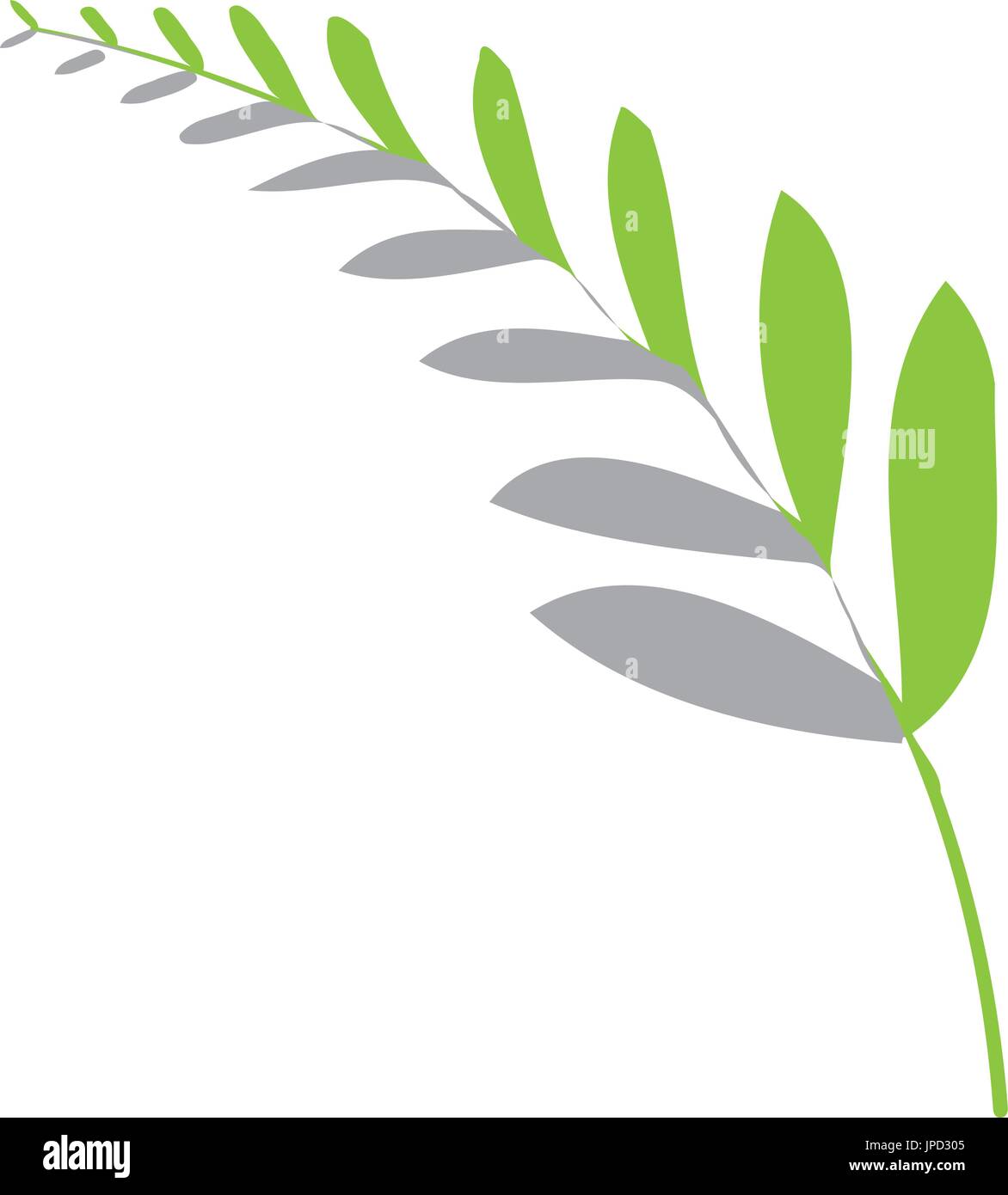 Simple fern leaf Stock Vector Images - Alamy