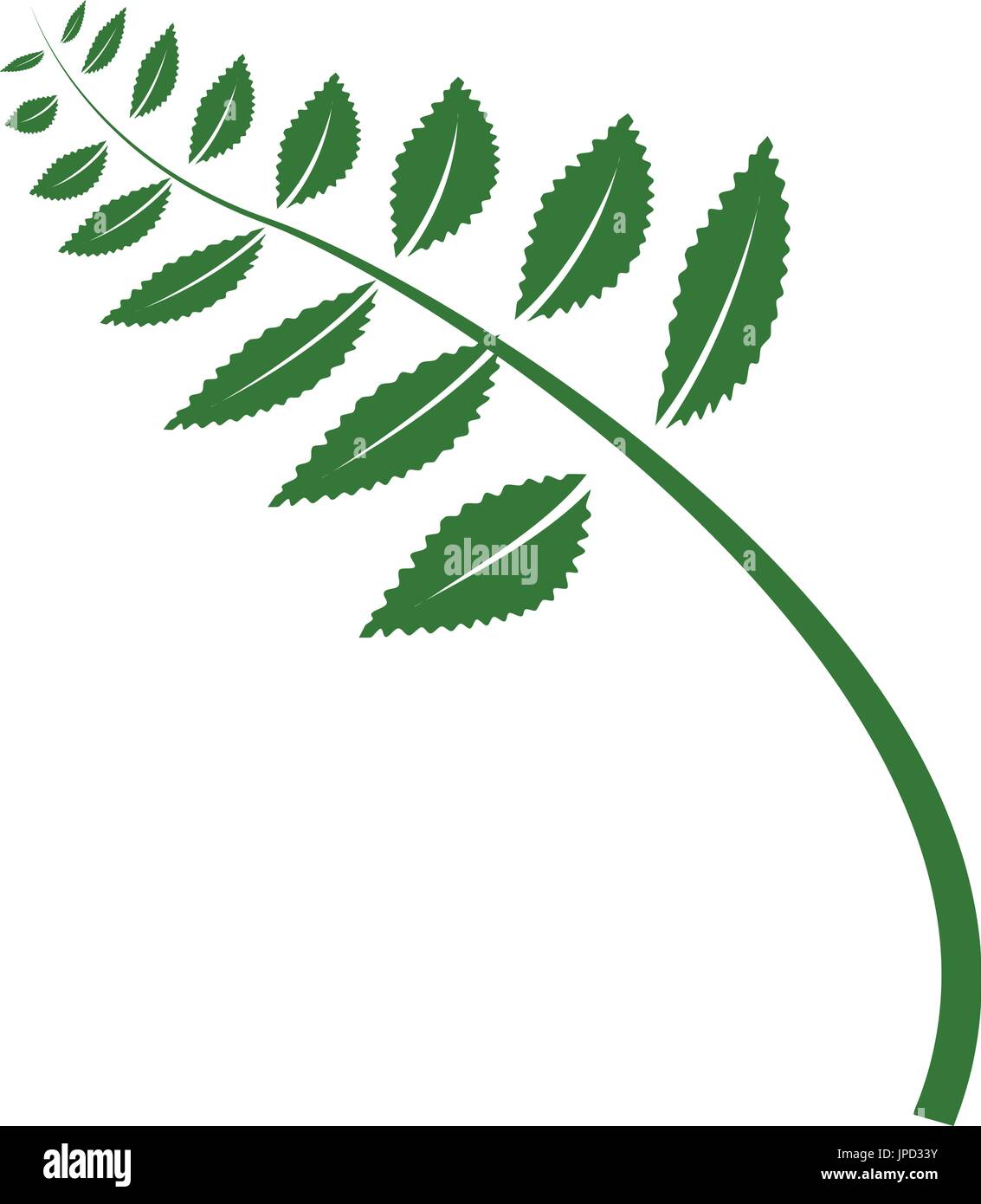 Curved fern Stock Vector Images - Alamy