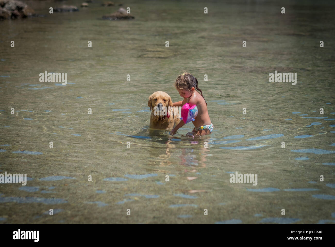 Boy washing dog hi-res stock photography and images - Alamy