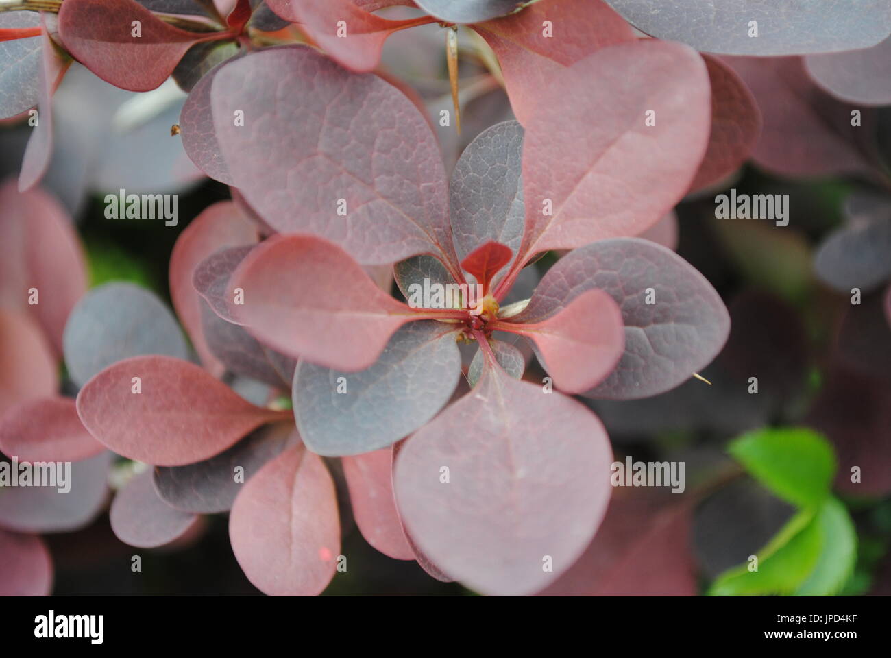 Best selling photos hi-res stock photography and images - Alamy