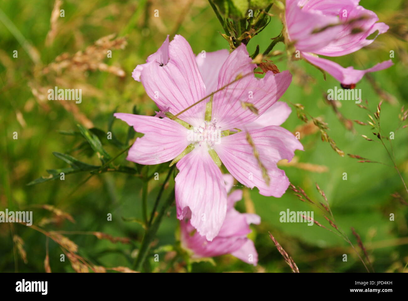 Best selling photos hi-res stock photography and images - Alamy