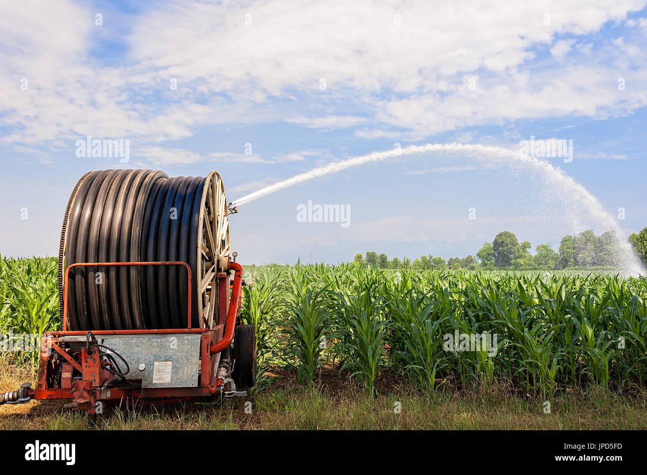 Agricultural equipment. Equipment pumping water on field of corn.Water ...