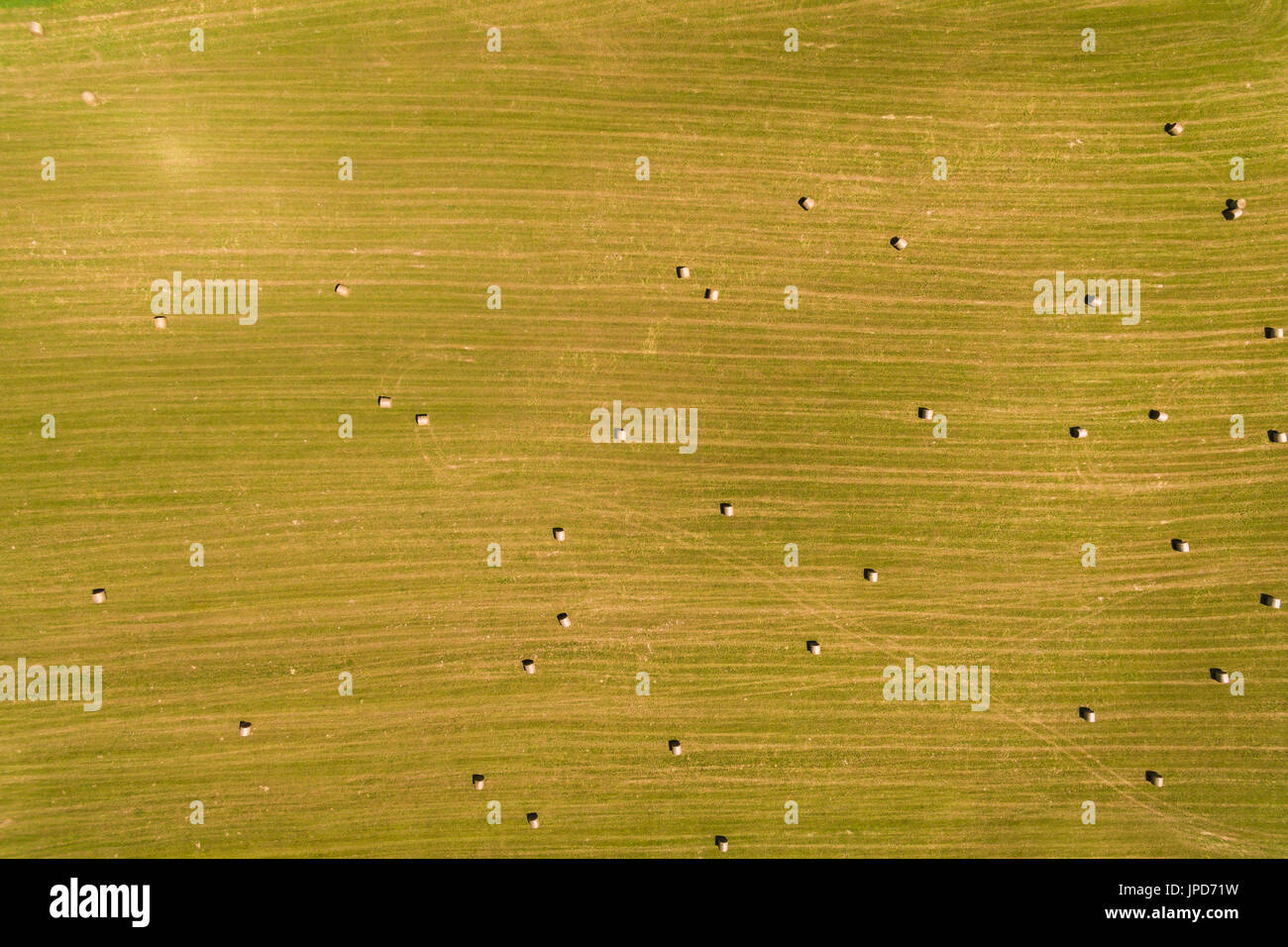 Field with haystacks in rural landscape, top view Stock Photo - Alamy