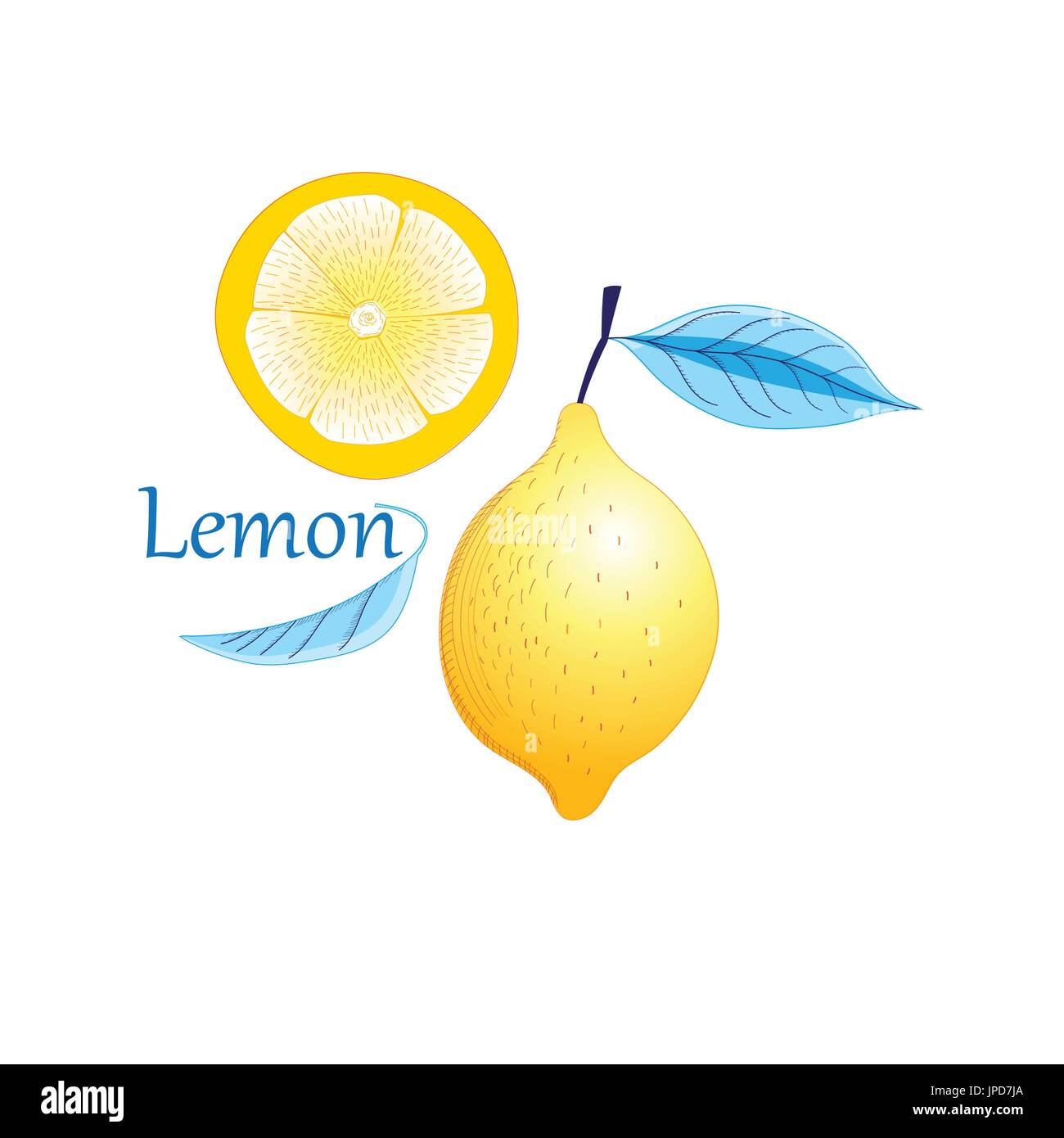 Vector fruit yellow lemon Stock Vector Image & Art - Alamy