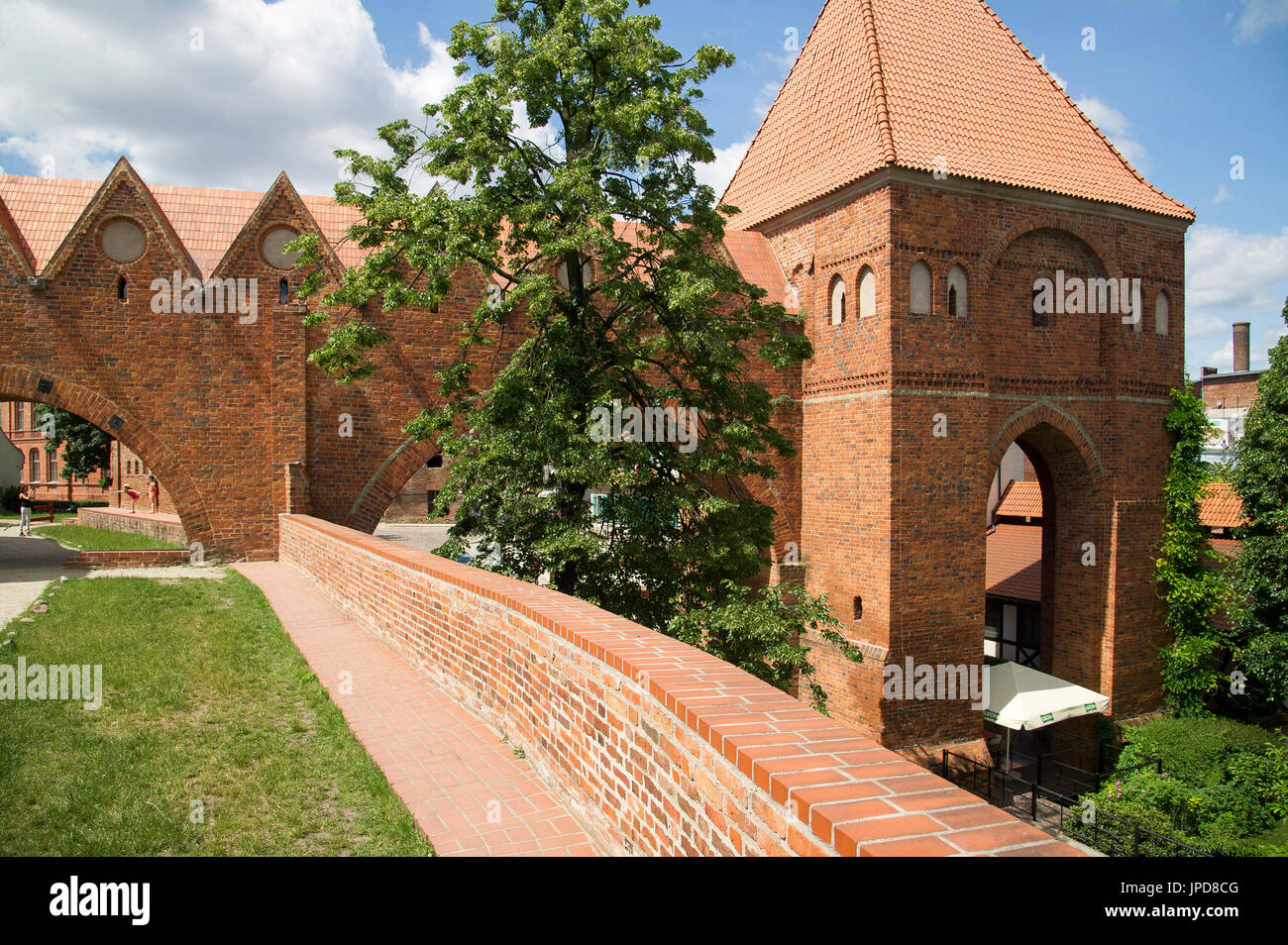 Dansker of ruins of the Teutonic Order Knights castle in Torun Old Town ...