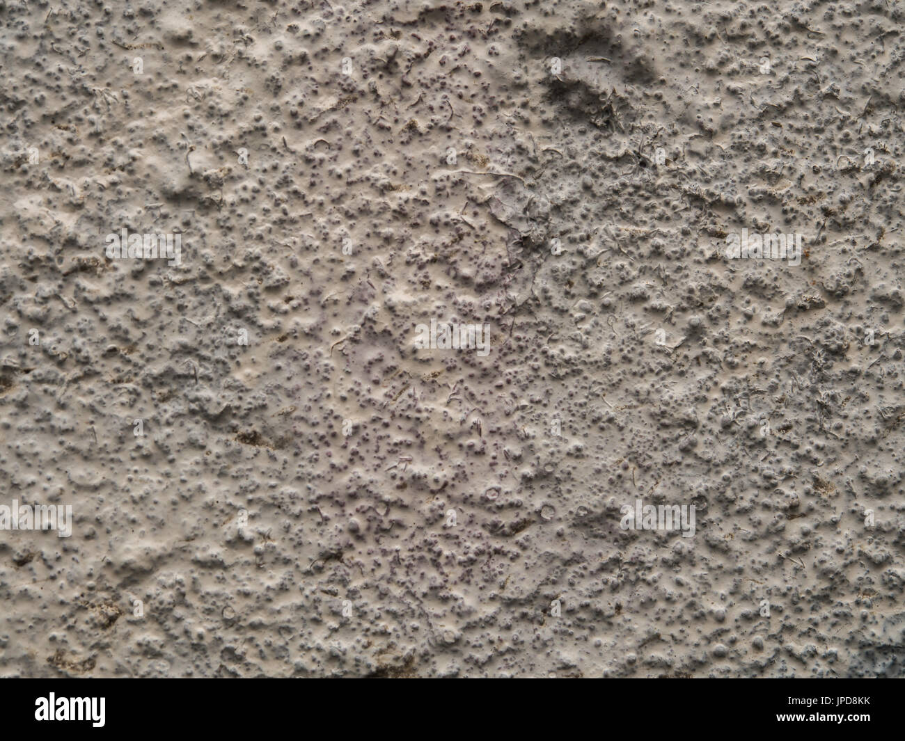 Ashen silver hi-res stock photography and images - Alamy