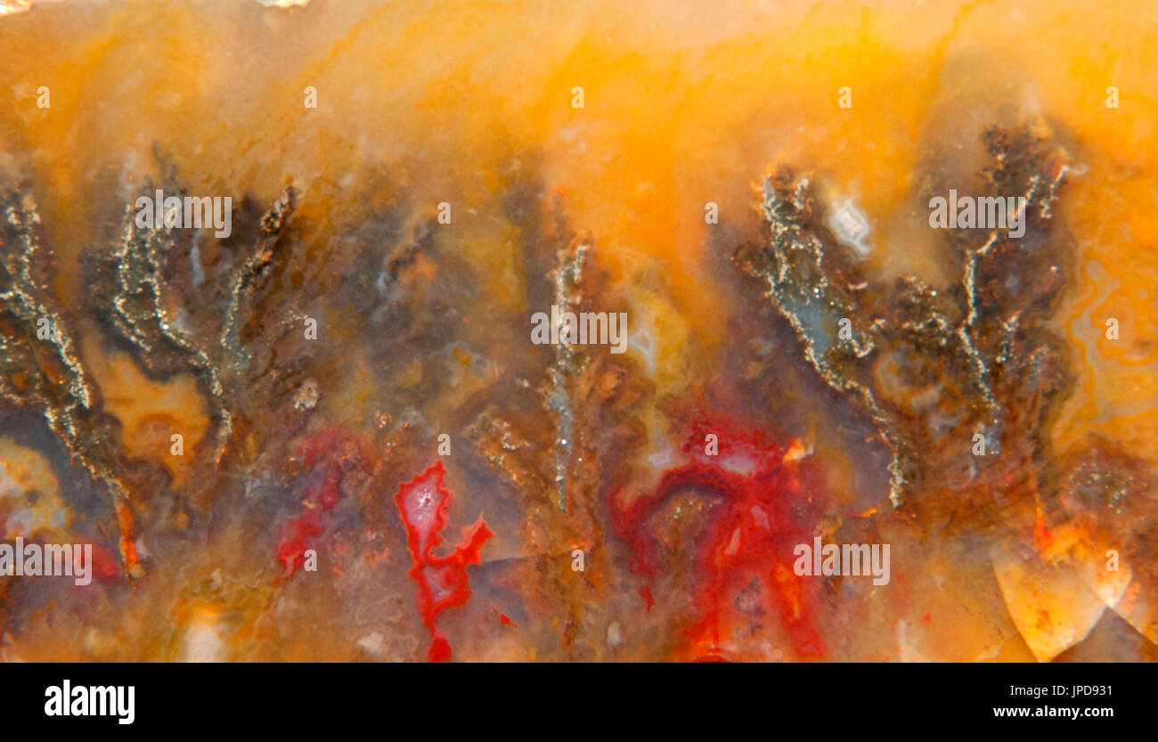 Graveyard Point agate, Oregon Stock Photo - Alamy