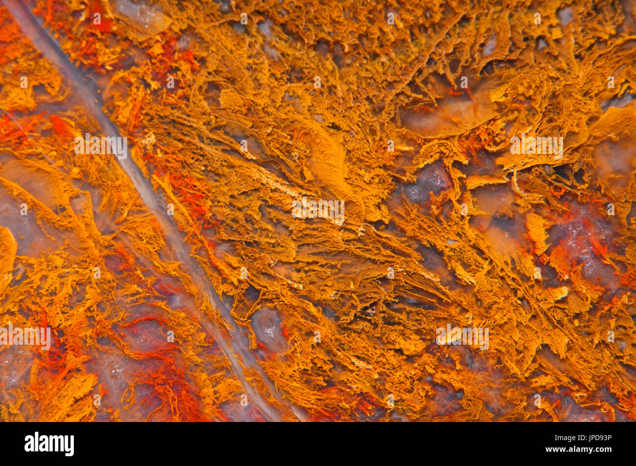 Maury Mountain agate, Oregon Stock Photo - Alamy