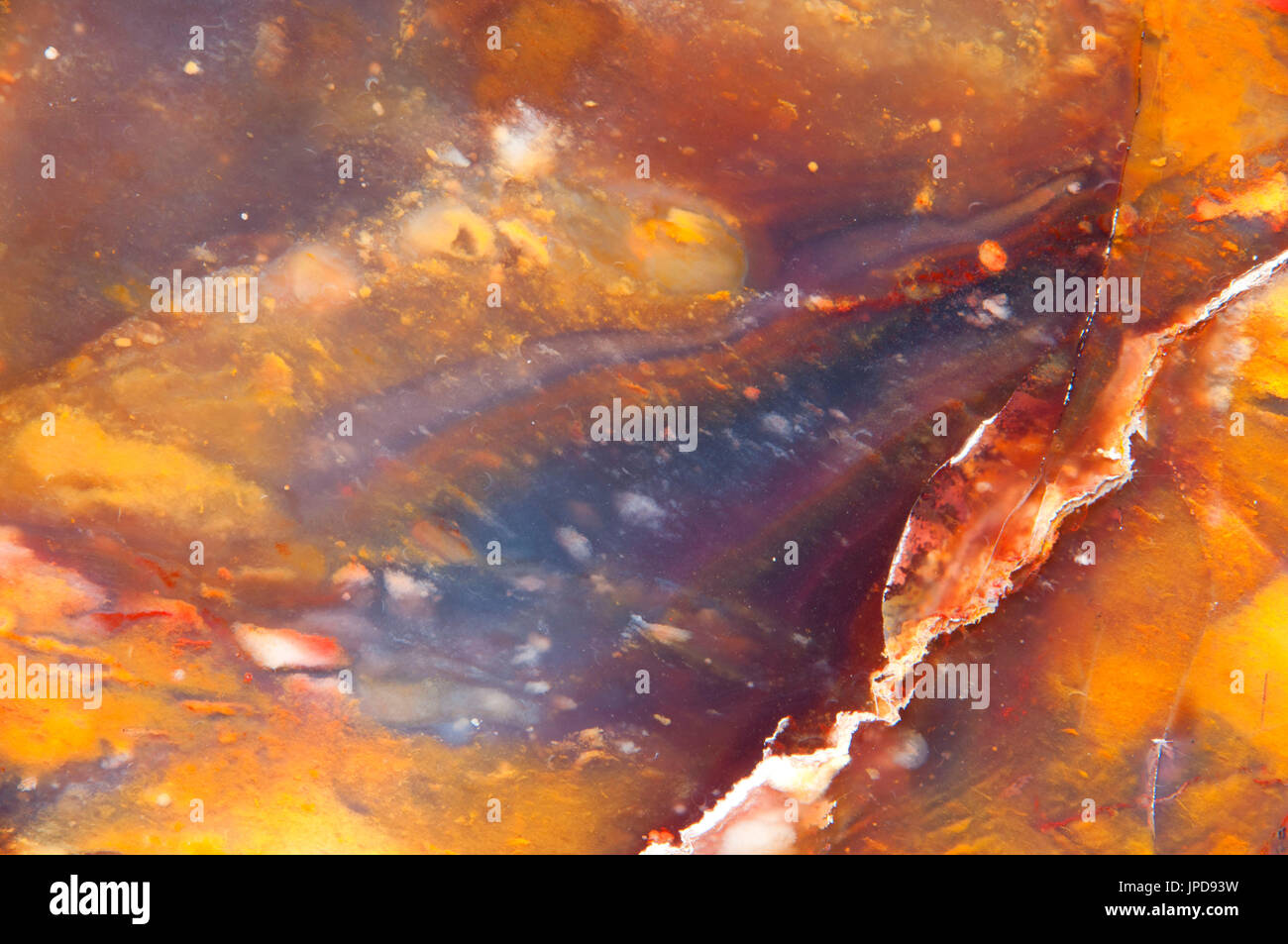 Willamette River jasper, Oregon Stock Photo - Alamy