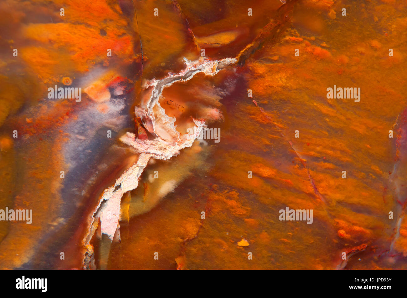Willamette River jasper, Oregon Stock Photo - Alamy