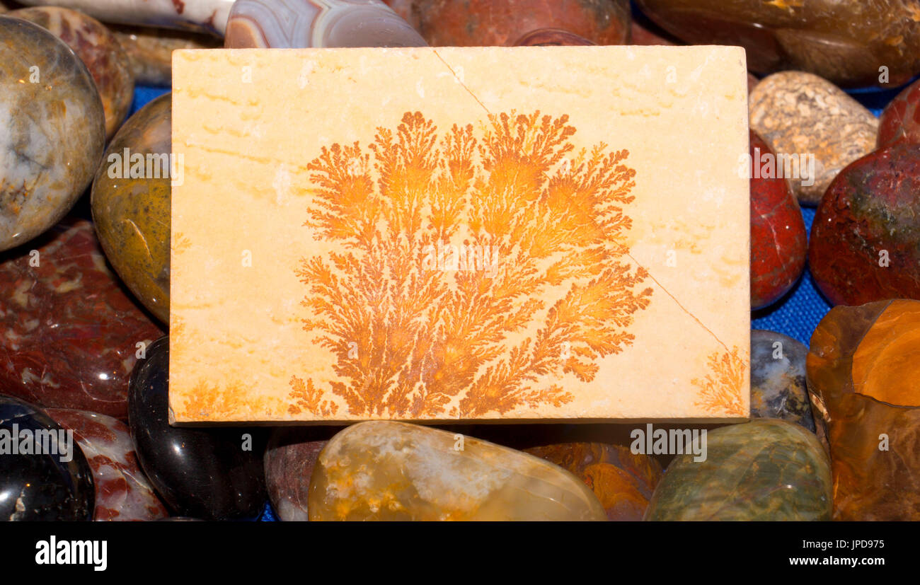 Dendrite hi-res stock photography and images - Alamy