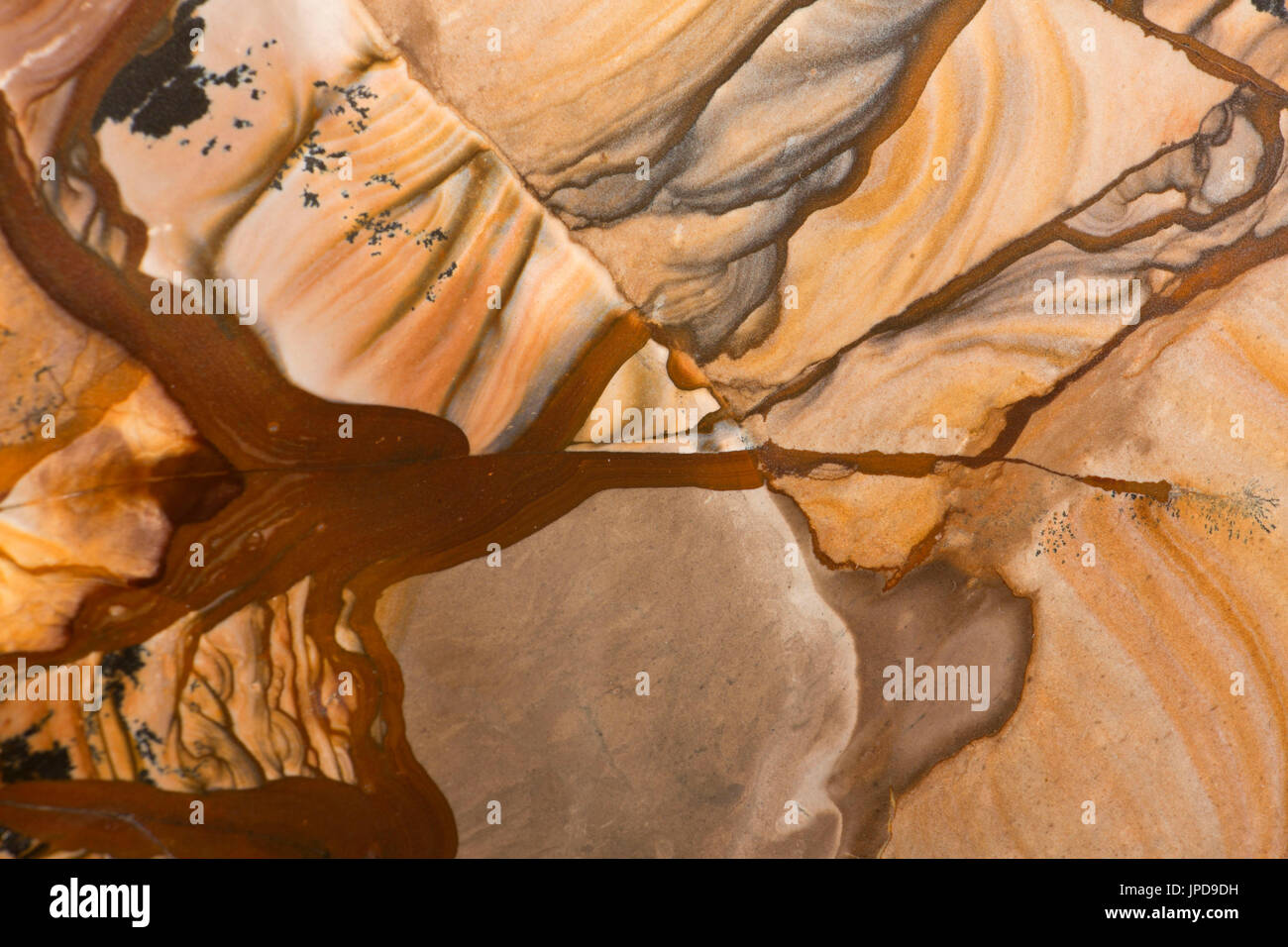 Blue Biggs jasper, Oregon Stock Photo - Alamy