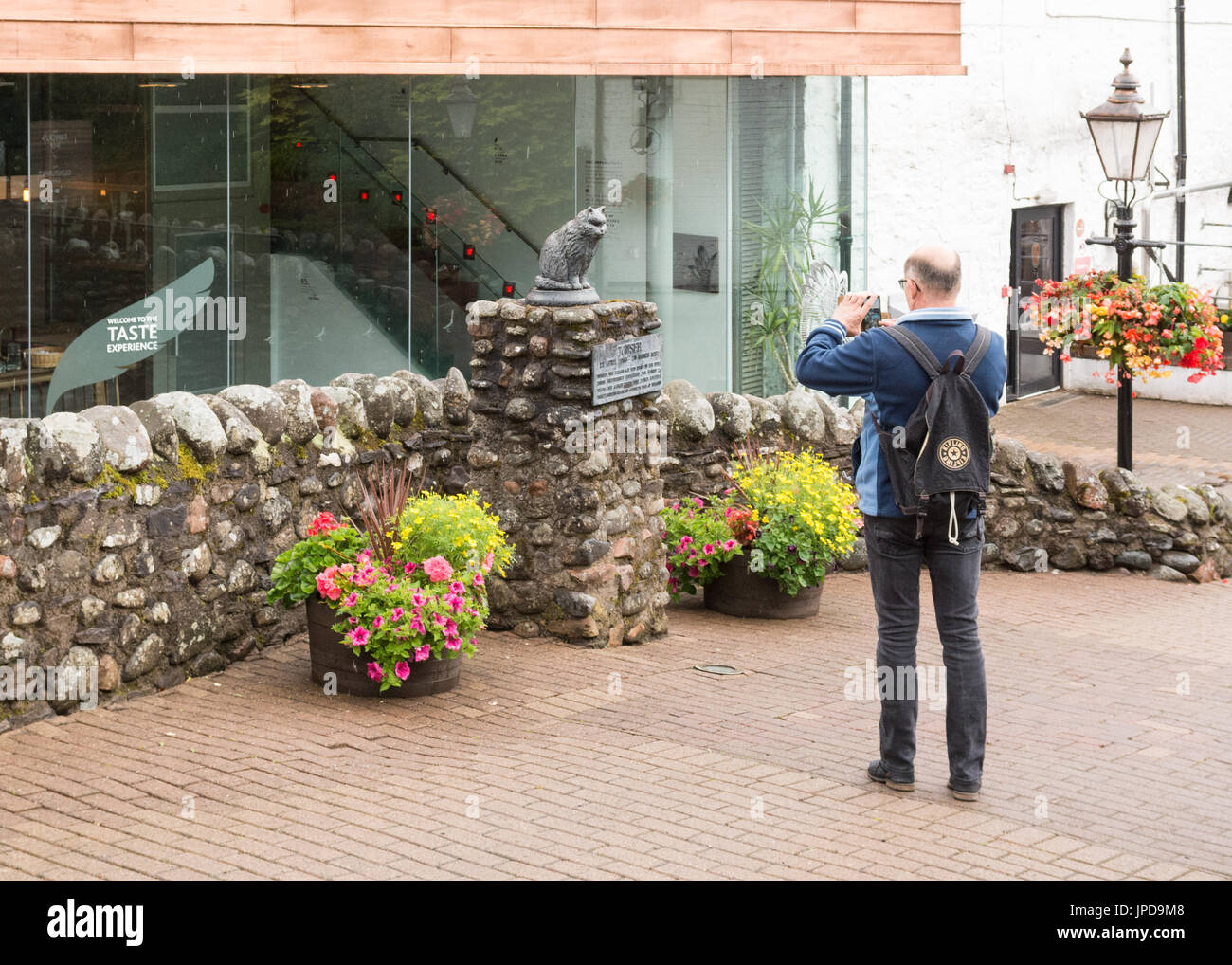 The Famous Grouse Experience - statue of Towser cat Stock Photo - Alamy