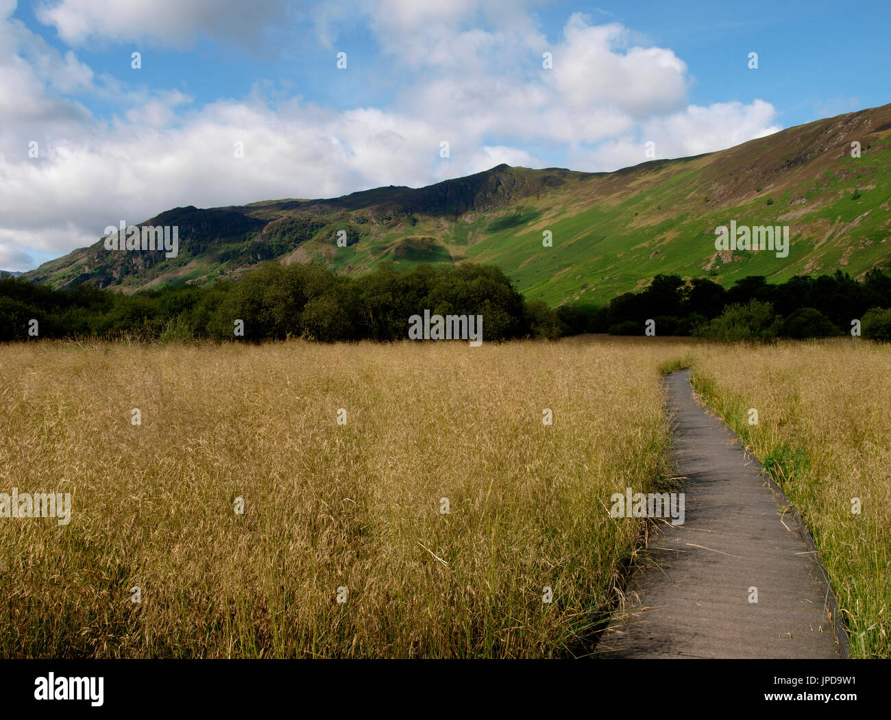 Raised footpath hi-res stock photography and images - Alamy