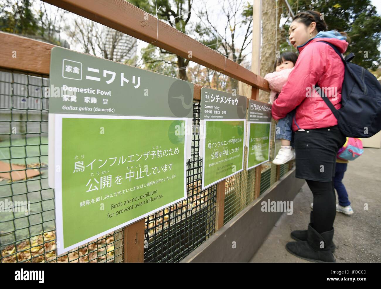Ueno Zoological Gardens in Tokyo has suspended displaying birds as seen ...