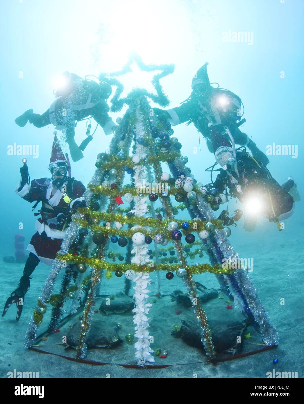 Divers wearing Santa Claus costumes poses for photos around an ...