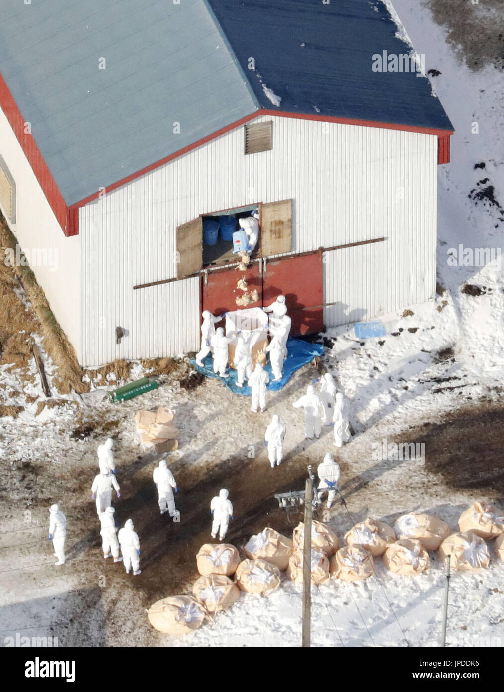 Photo taken from a Kyodo News helicopter shows an operation to cull ...