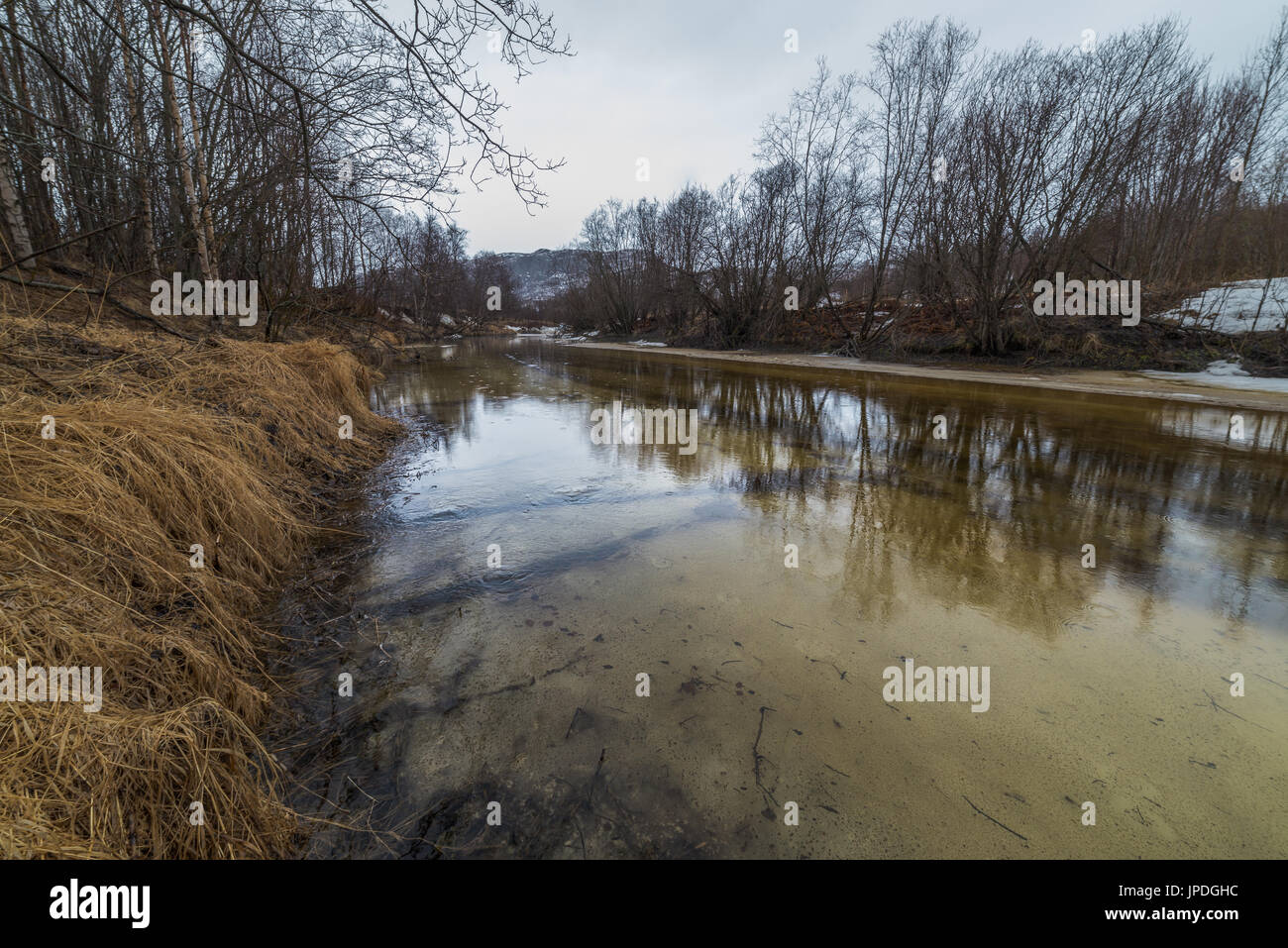 Spring forest river hi-res stock photography and images - Alamy