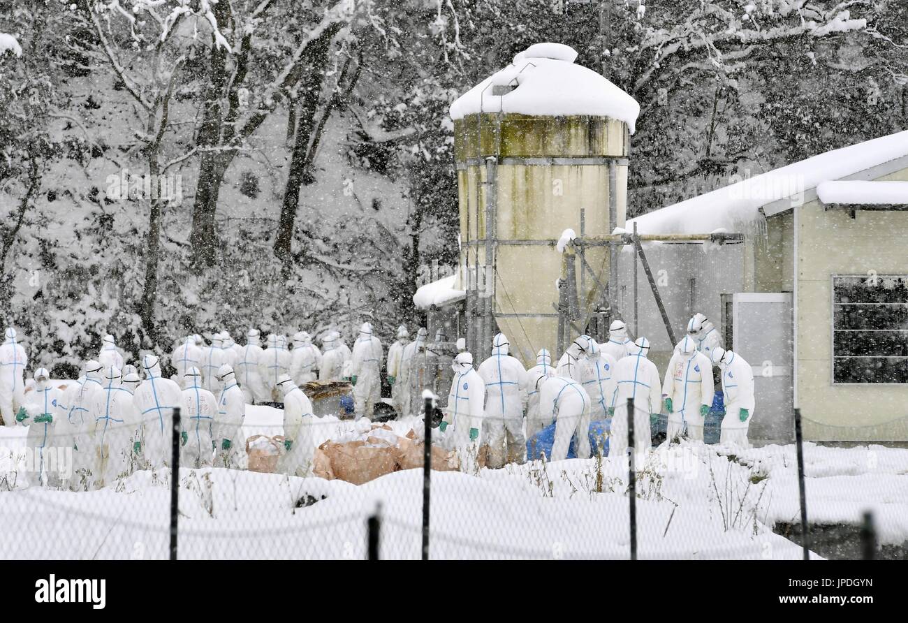 Local officials cull chickens at a poultry farm in the central Japan ...