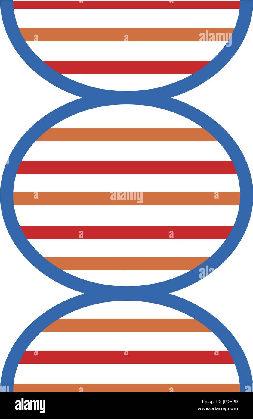 Dna ladder hi-res stock photography and images - Alamy