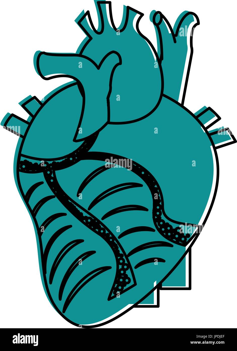 human heart icon image Stock Vector Image & Art - Alamy