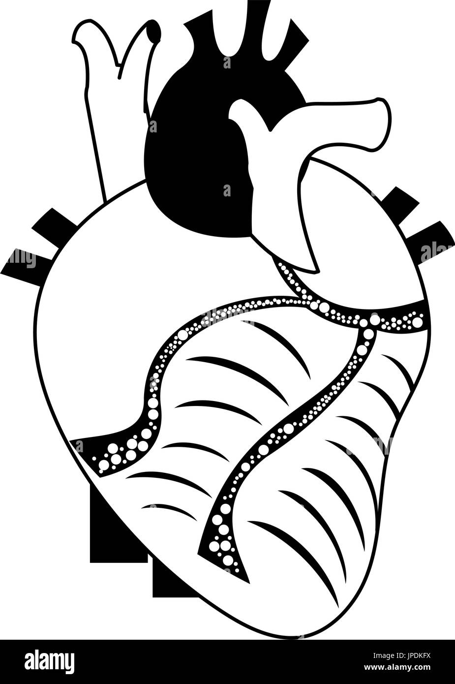 Tattoo heart organ Cut Out Stock Images & Pictures - Alamy