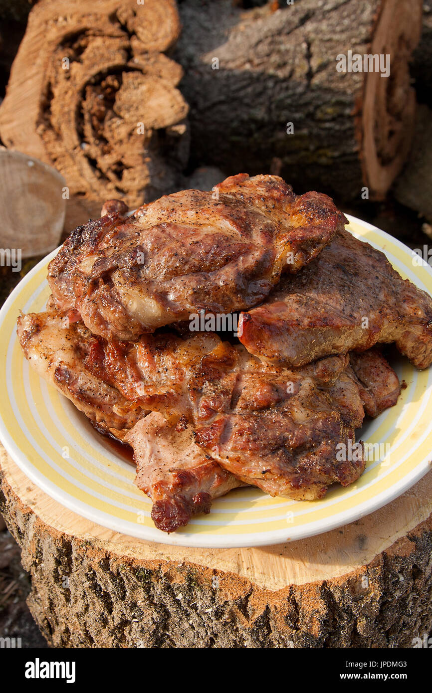 Juicy slices of meat cooked on an open flame grill on big white plate ...