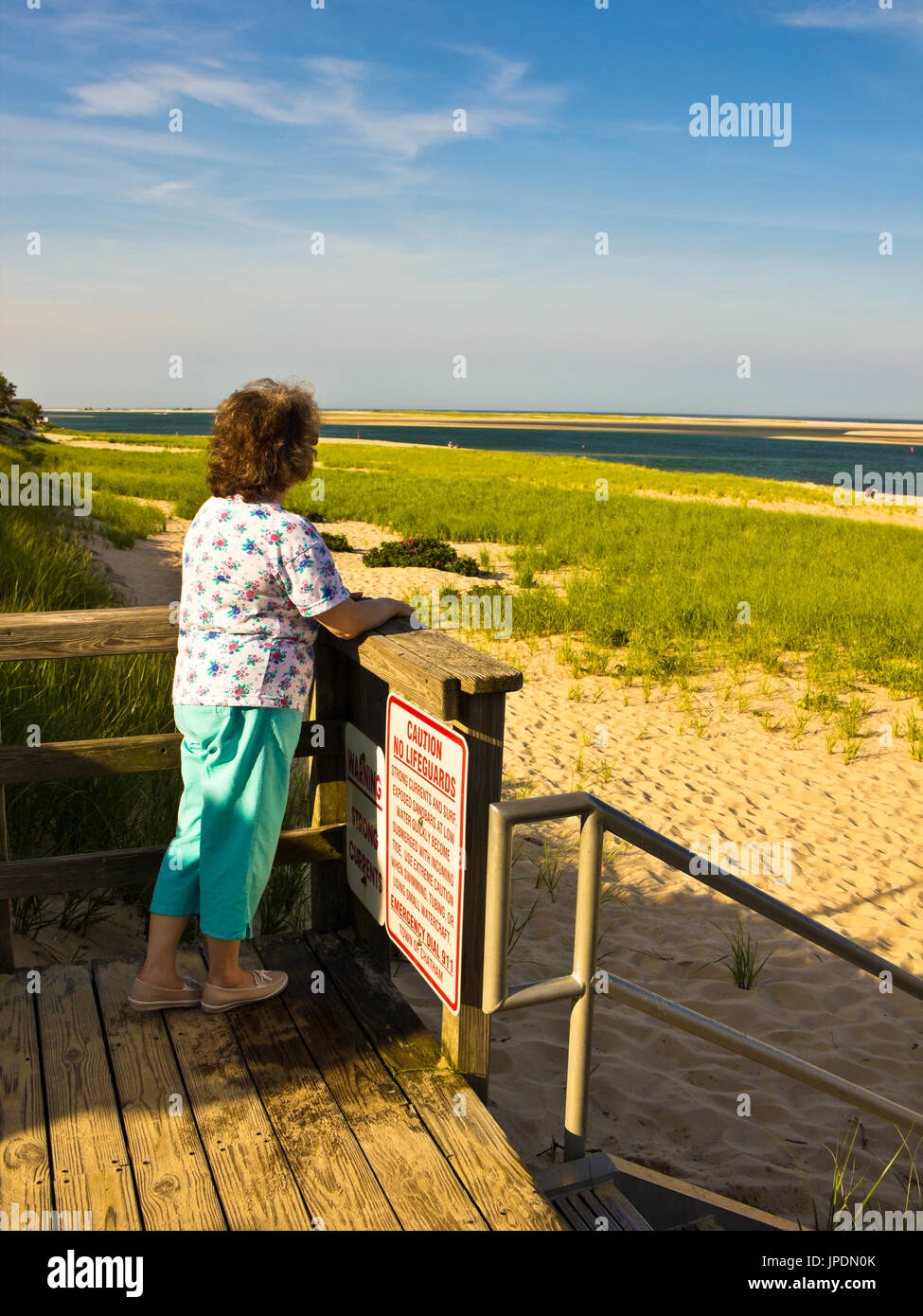 At Cape Cod, a woman looks at the ocean vista at Cape Cod, MA Stock ...