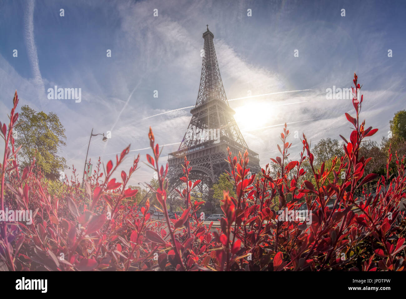 Eiffel Tower during spring time in Paris, France Stock Photo - Alamy