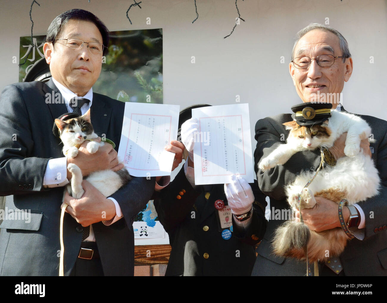 Yontama (L), an 8-month-old calico cat, receives a letter of ...
