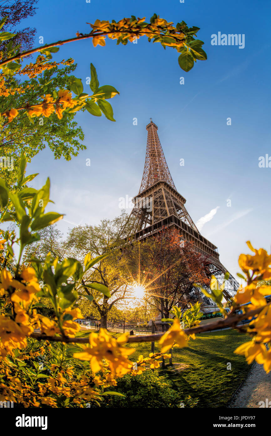Eiffel Tower during spring time in Paris, France Stock Photo - Alamy