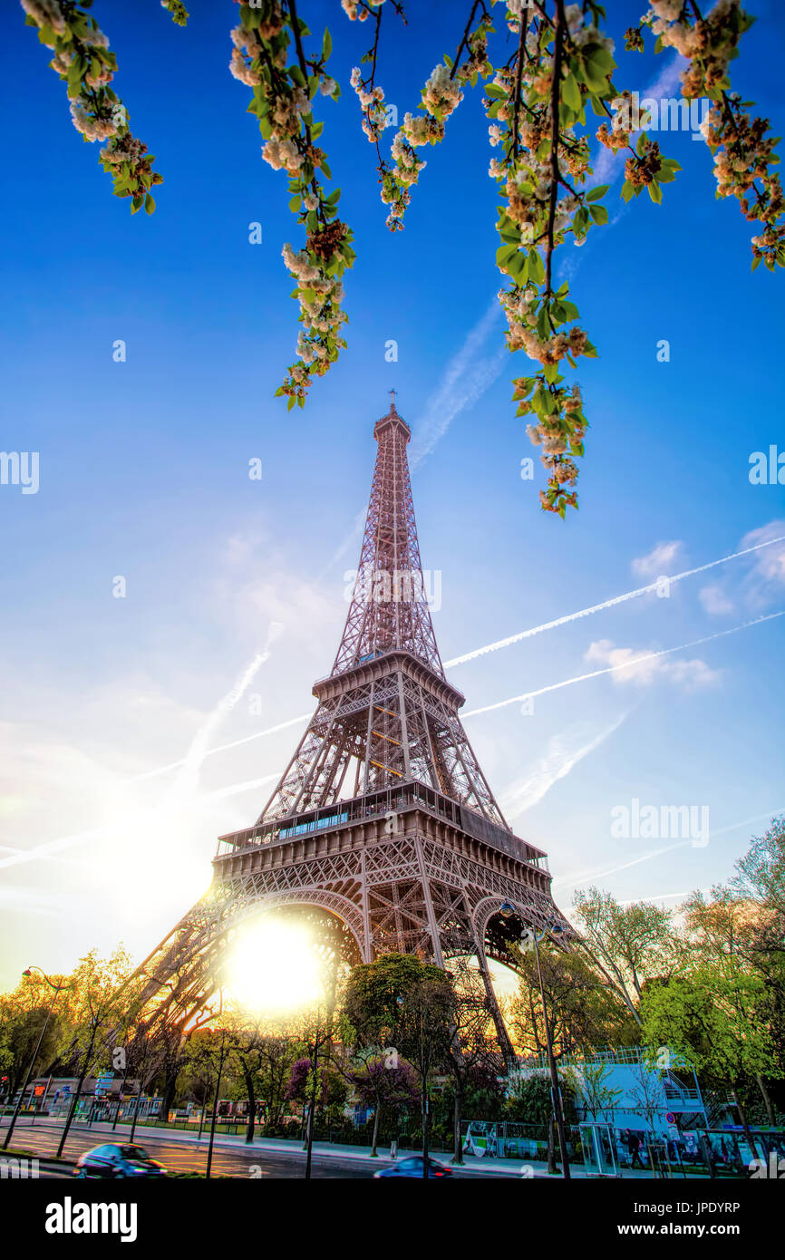 Eiffel Tower during spring time in Paris, France Stock Photo - Alamy