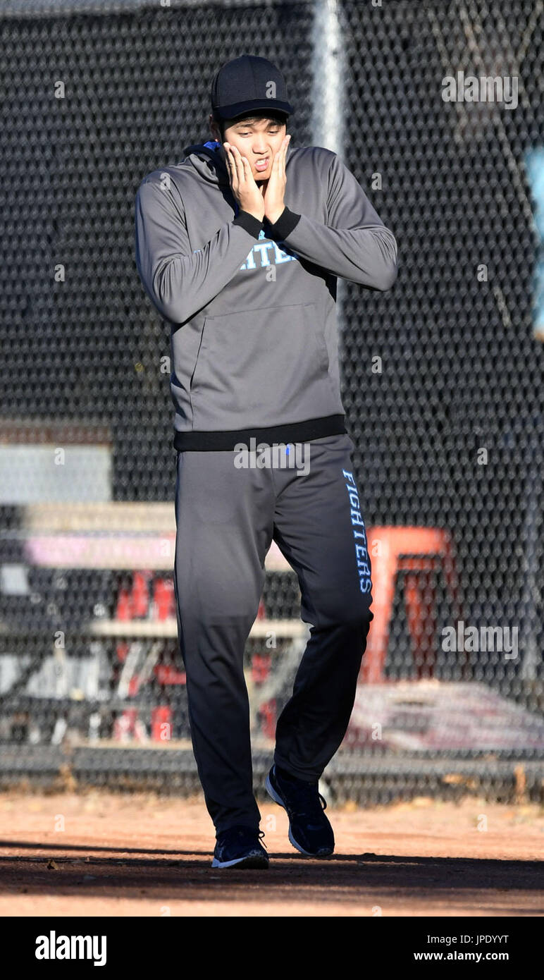 Nippon Ham Fighters pitcher-designated hitter Shohei Otani attends a ...