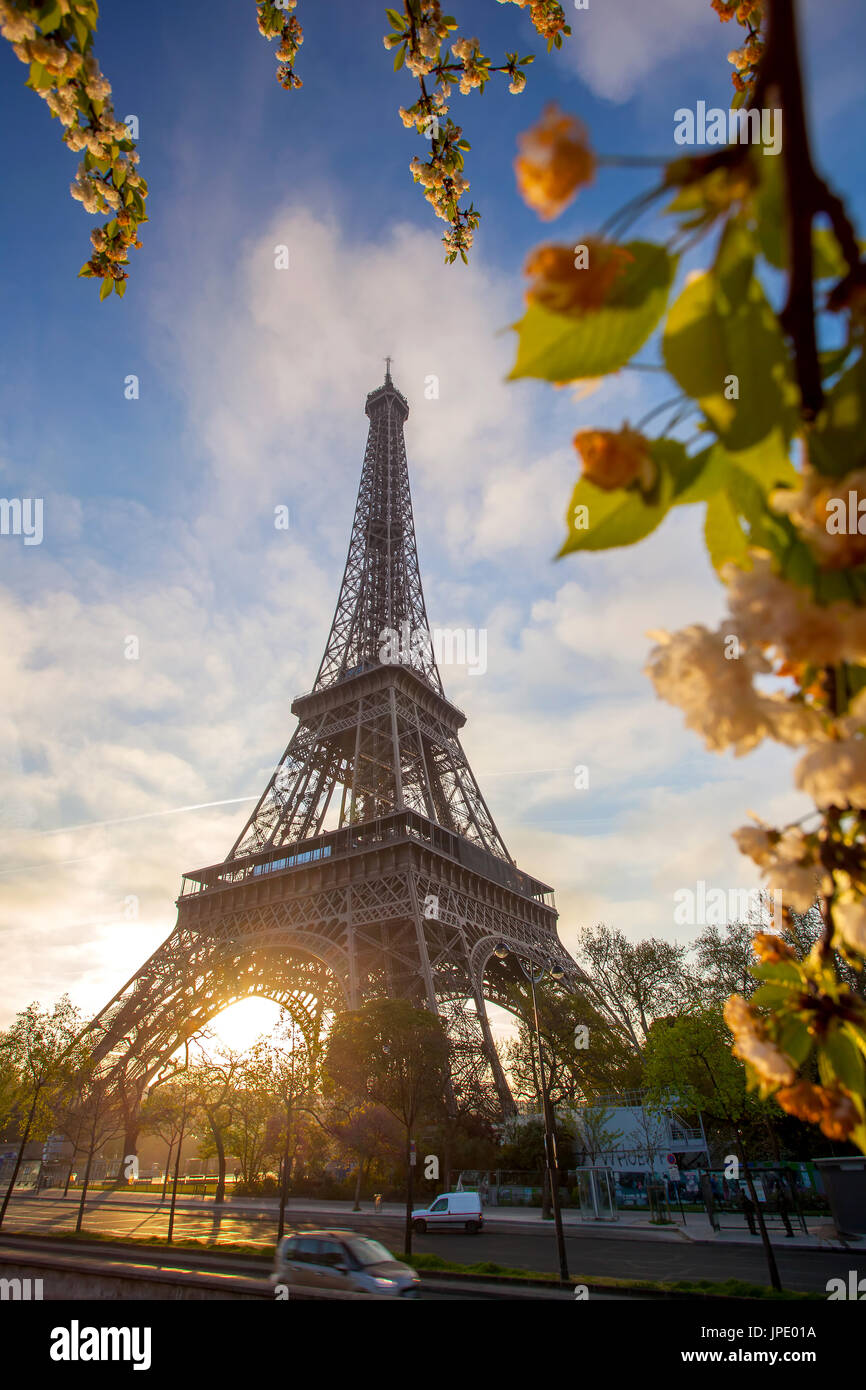 Eiffel Tower during spring time in Paris, France Stock Photo - Alamy