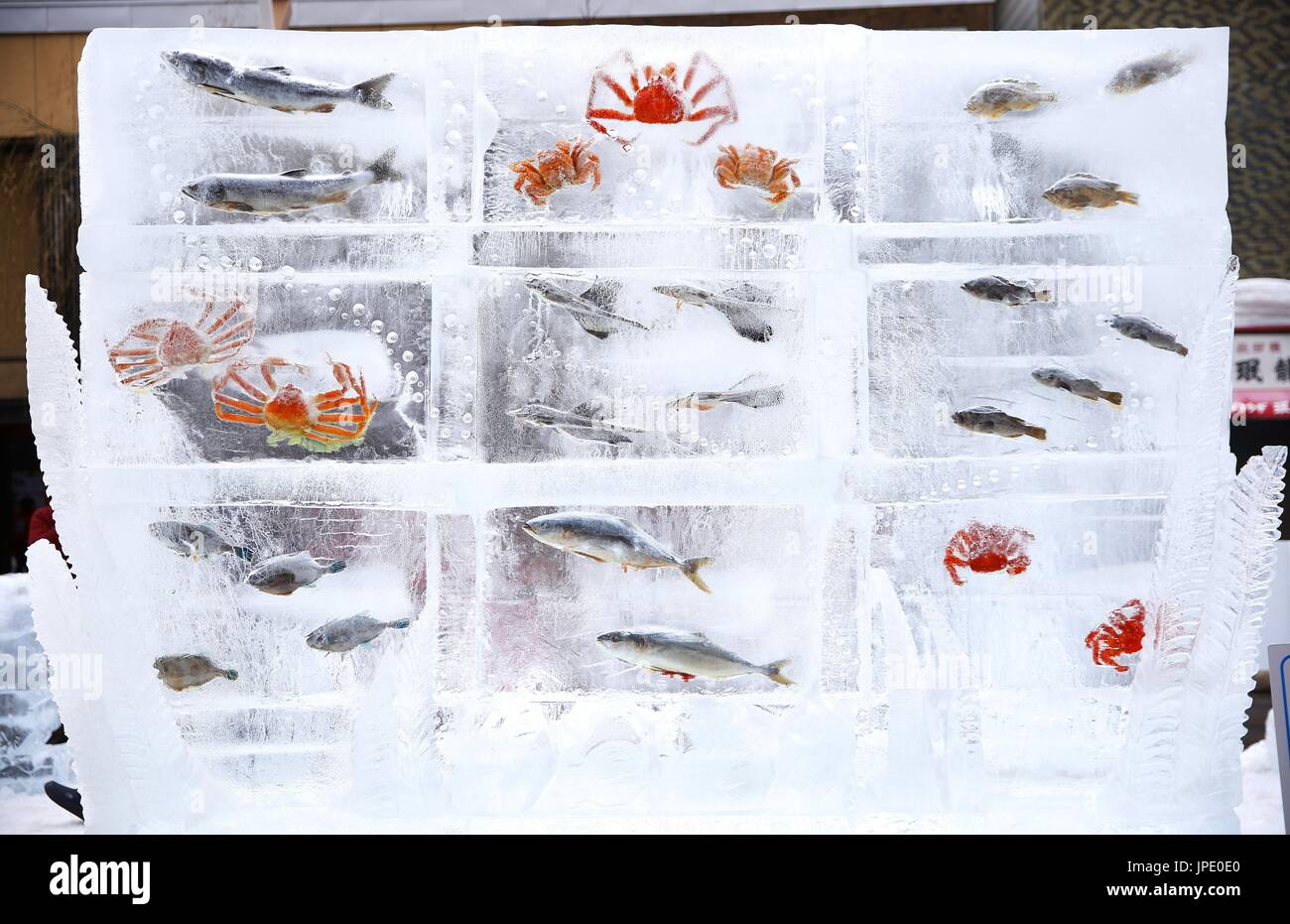 The Sapporo Snow Festival begins exhibiting fish frozen in ice blocks ...