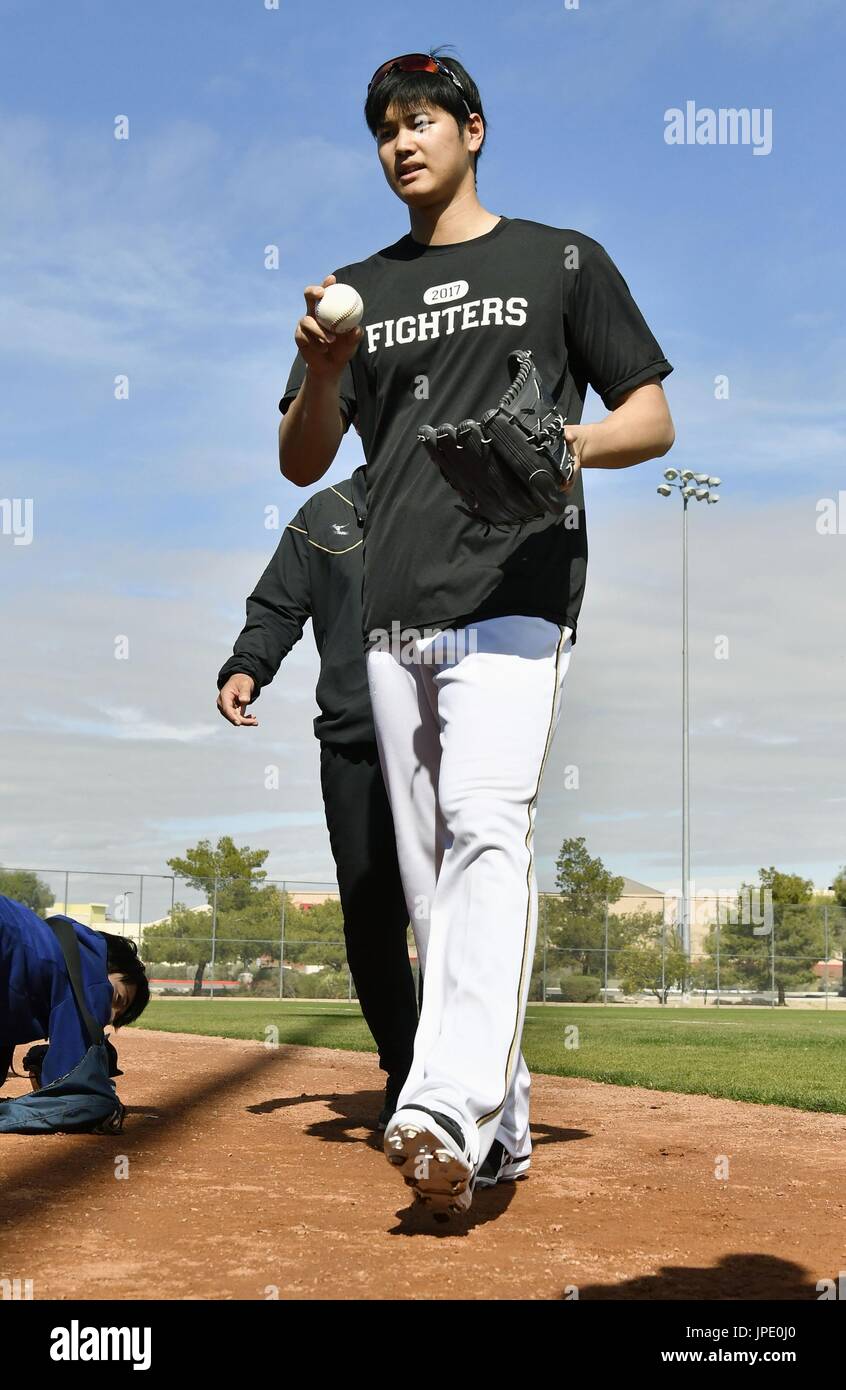 Nippon Ham Fighters slugging ace pitcher Shohei Otani completes ...