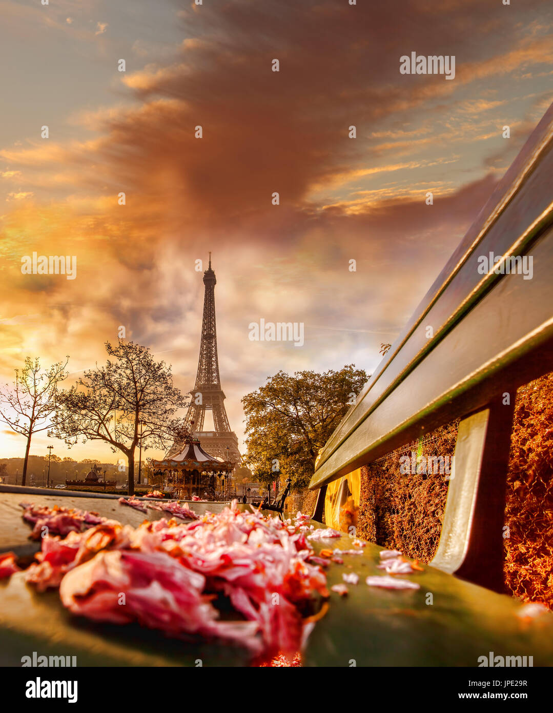 Beautiful Spring Morning