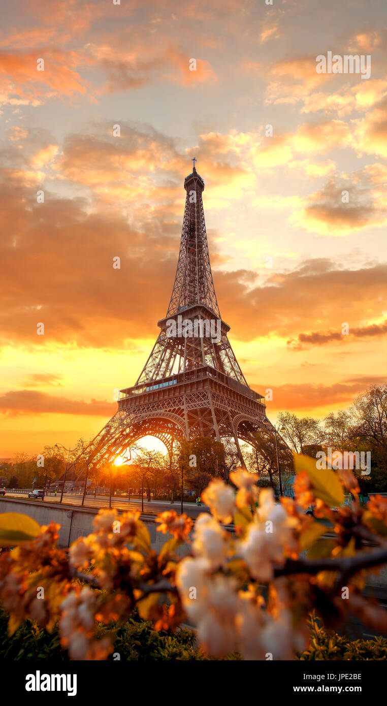 Eiffel Tower during beautiful spring morning in Paris, France Stock ... Eiffel Tower during beautiful spring morning in Paris, France Stock ...