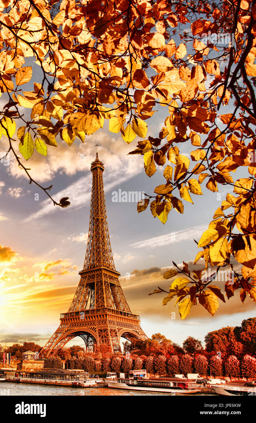 Eiffel Tower with autumn leaves in Paris, France Stock Photo - Alamy