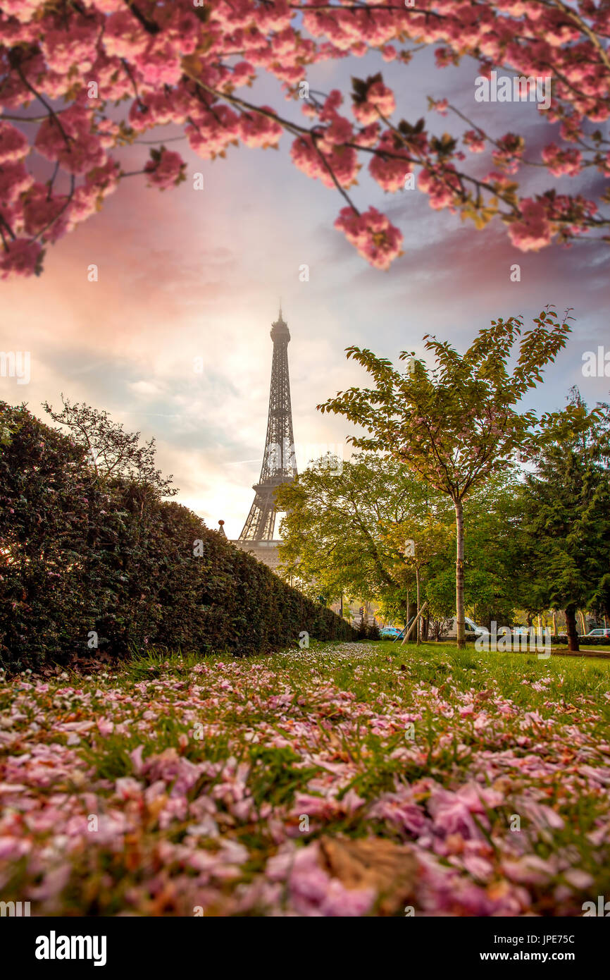 Eiffel Tower during spring time in Paris, France Stock Photo - Alamy
