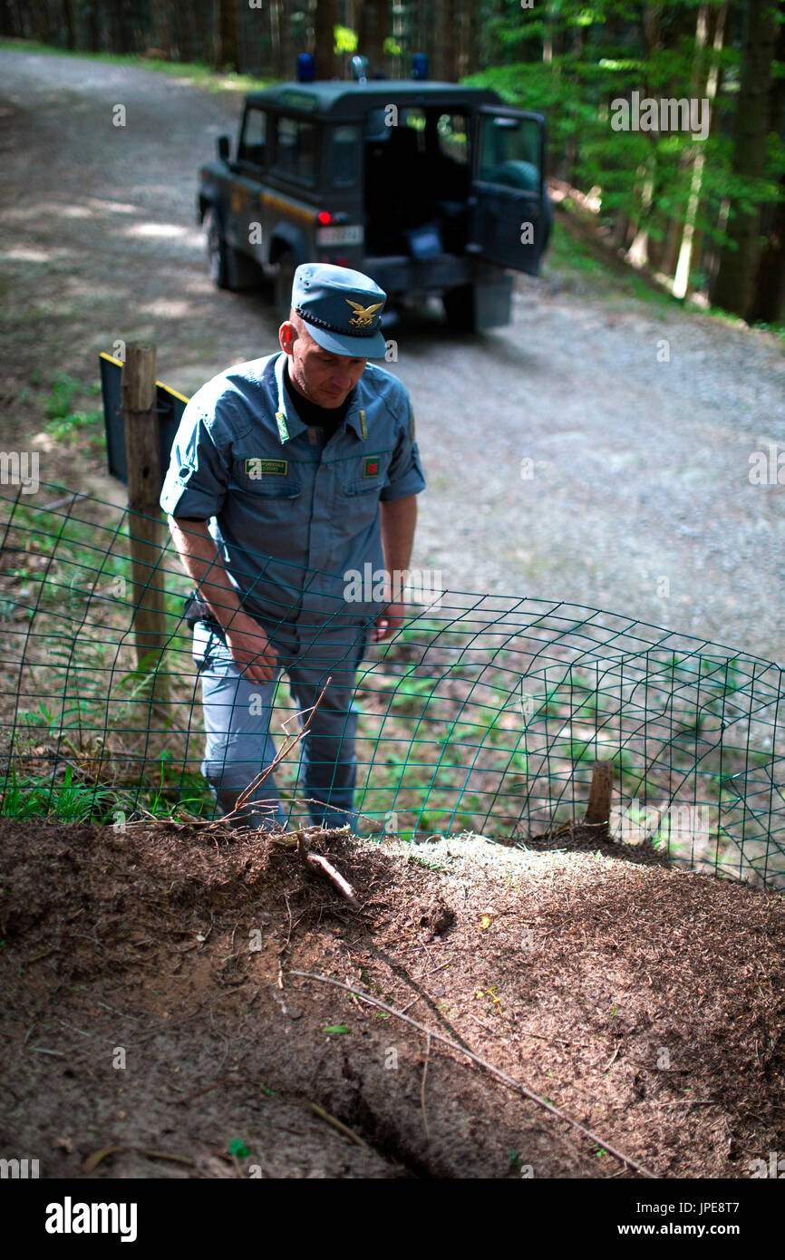 Europe, Italy,Tuscan Emilian Apennines. Forest Rangers Stock Photo - Alamy