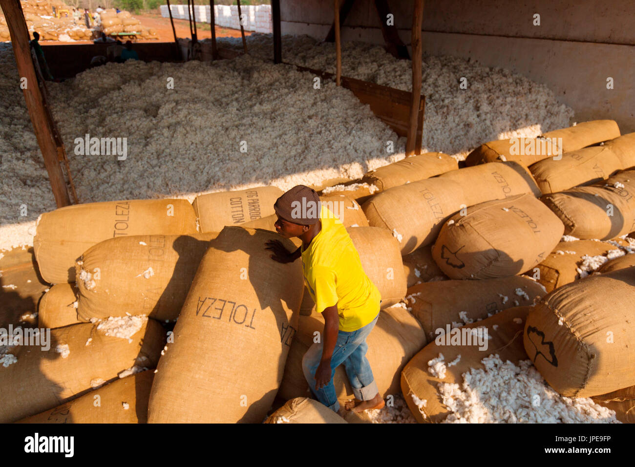 Raw cotton processing hi-res stock photography and images - Alamy