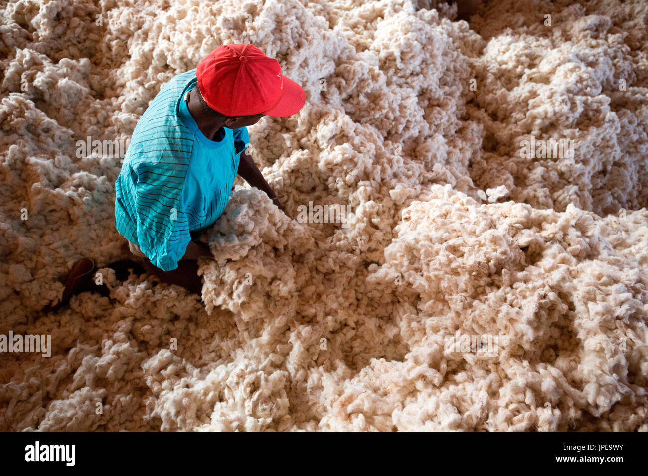 Cotton processing hi-res stock photography and images - Alamy